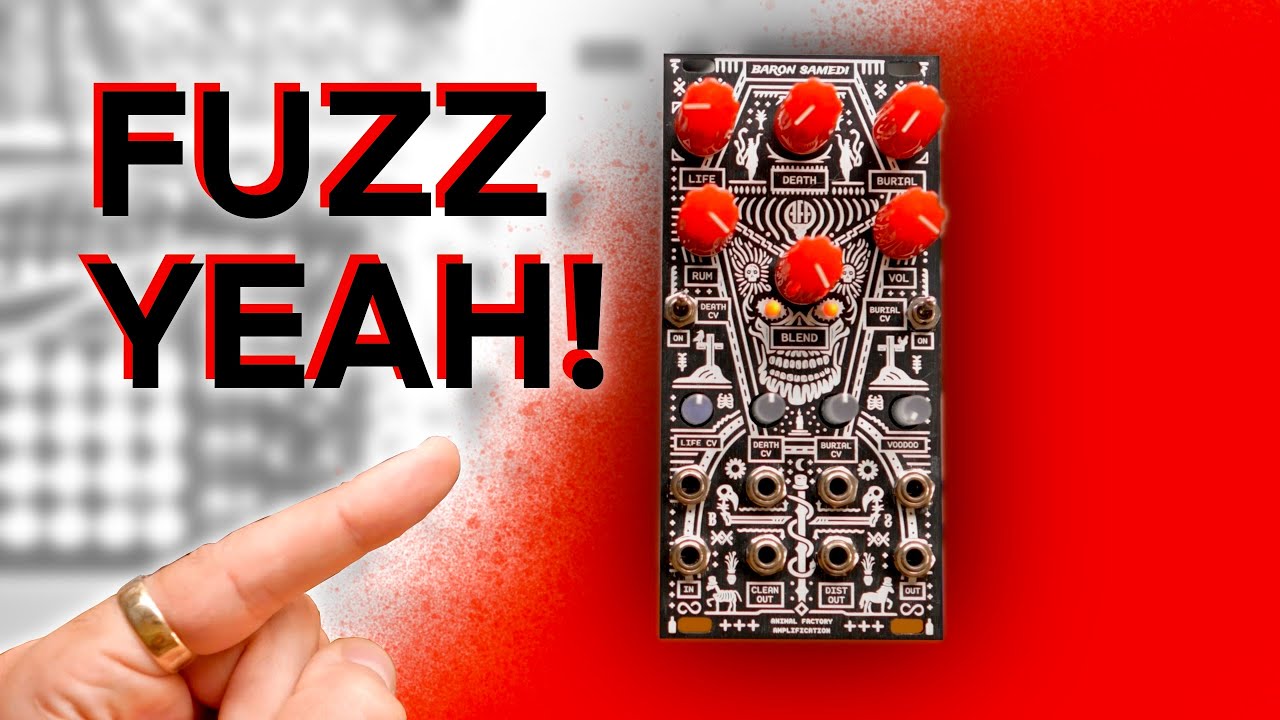 FUZZ YEAH!!! // Animal Factory Amplification - YouTube
