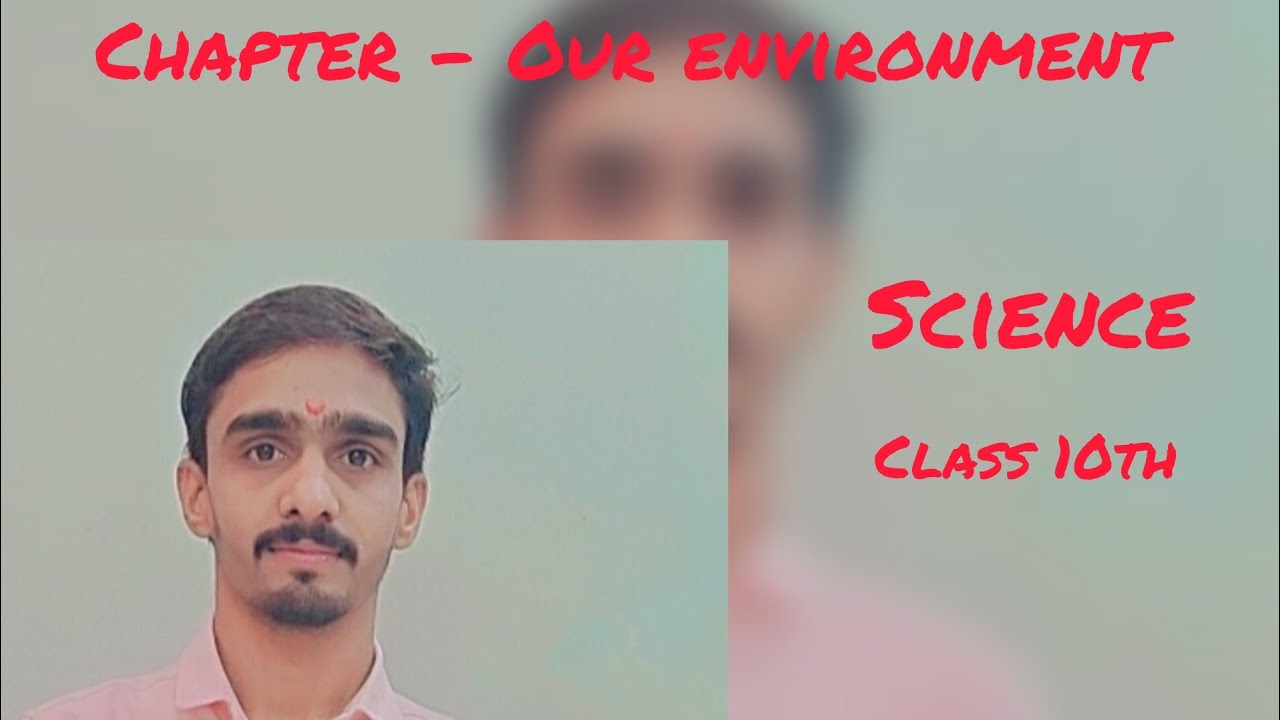 Chapter - Our environment (class 10th) - YouTube