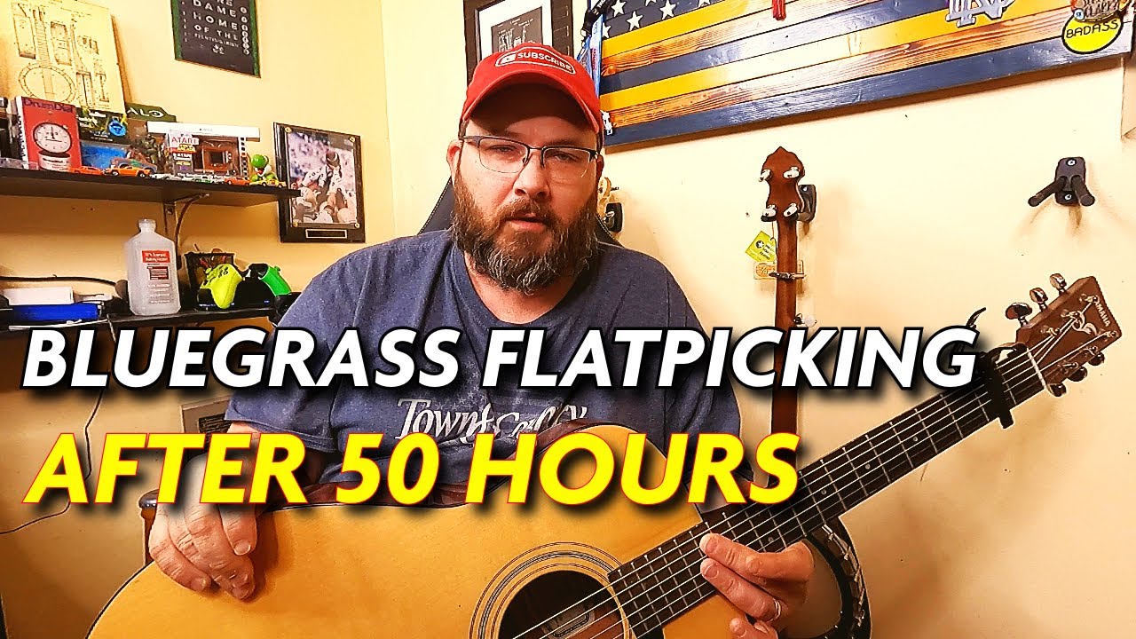 After 50 hours of Beginner Flatpicking Guitar practice what have i ...