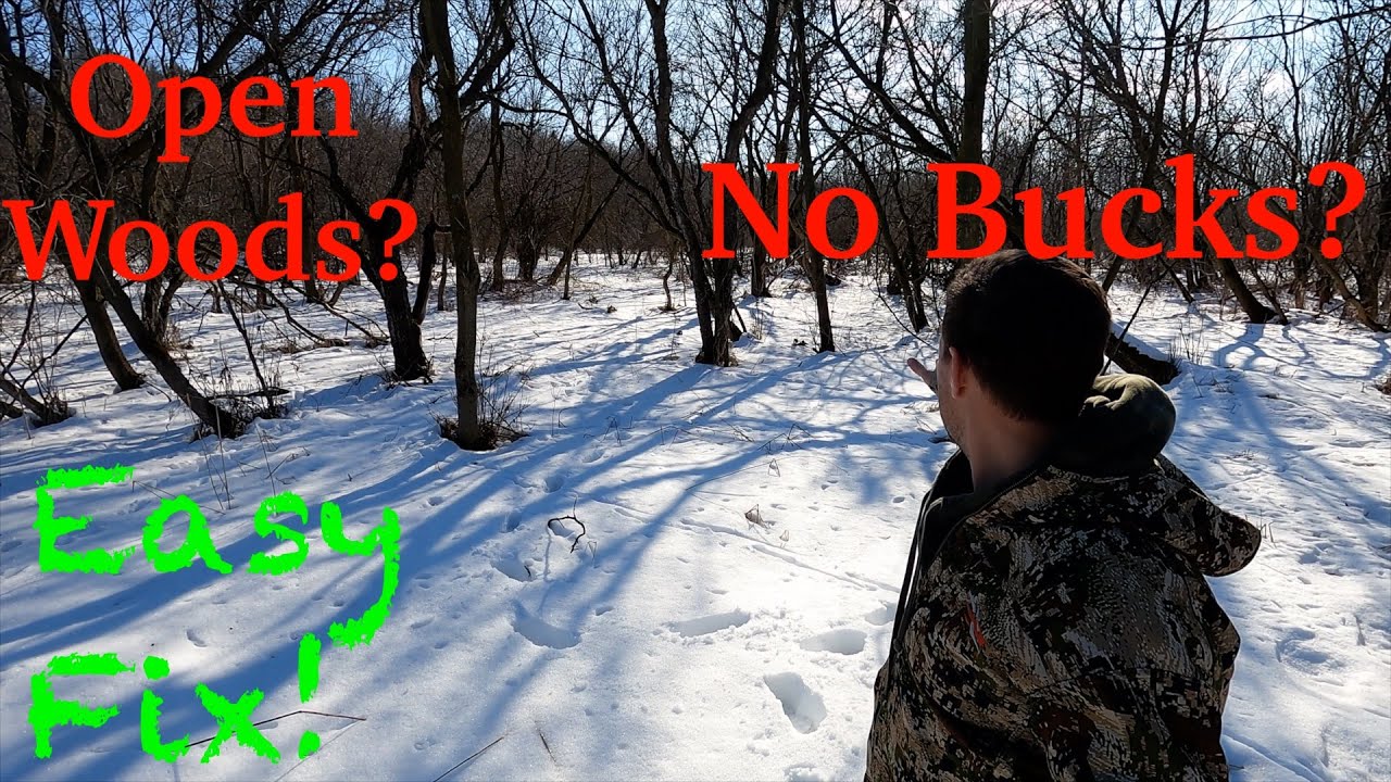 Attract Bucks and Improve Deer Habitat! Hinge Cut & TSI on Your Hunting ...