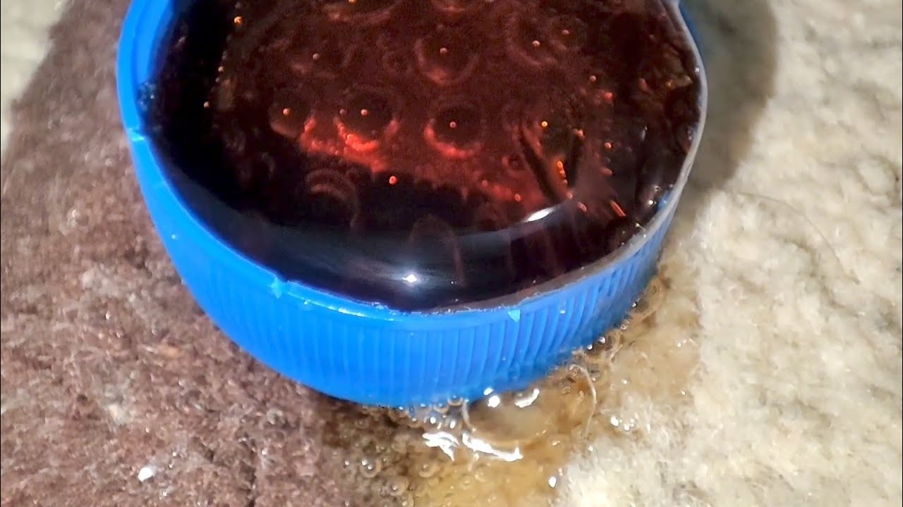 Close up , pepsi drink 🍻 #macro - YouTube