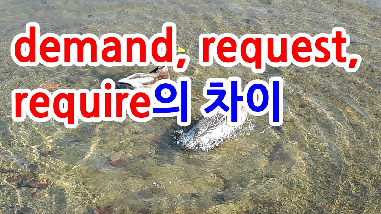 demand, request, require, claim, exact의 차이 - YouTube