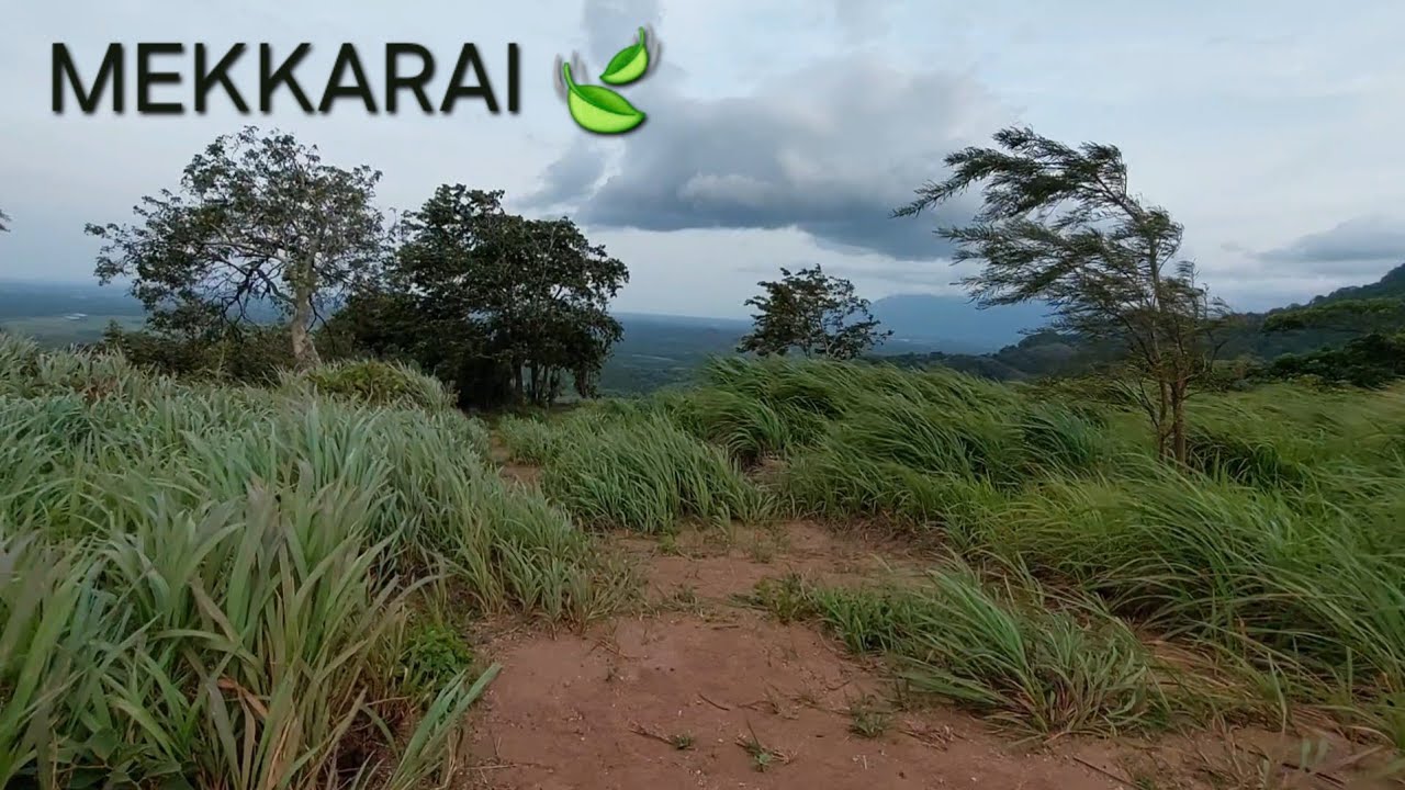 Mekkarai Hill Winds & Manimuthar Dam - YouTube