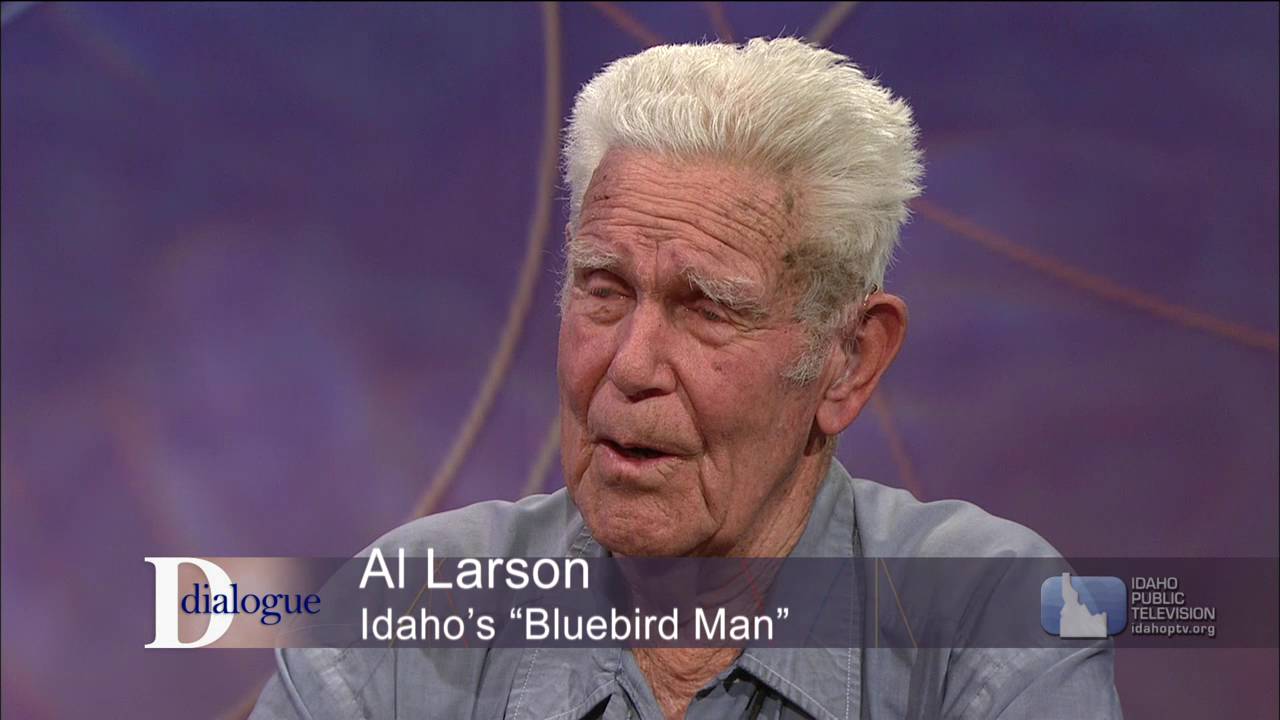 Dialogue: The Making of 'Bluebird Man' - YouTube