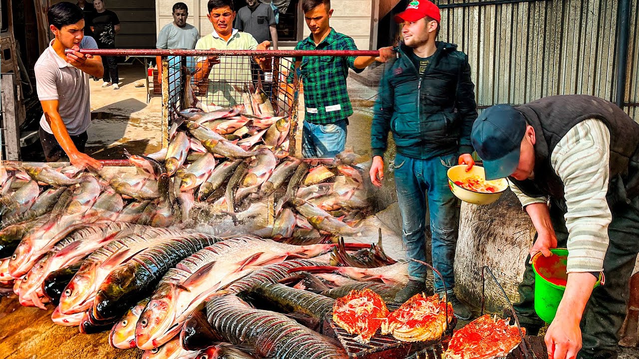 Best fishy Food videos collections l Nutrient food - YouTube