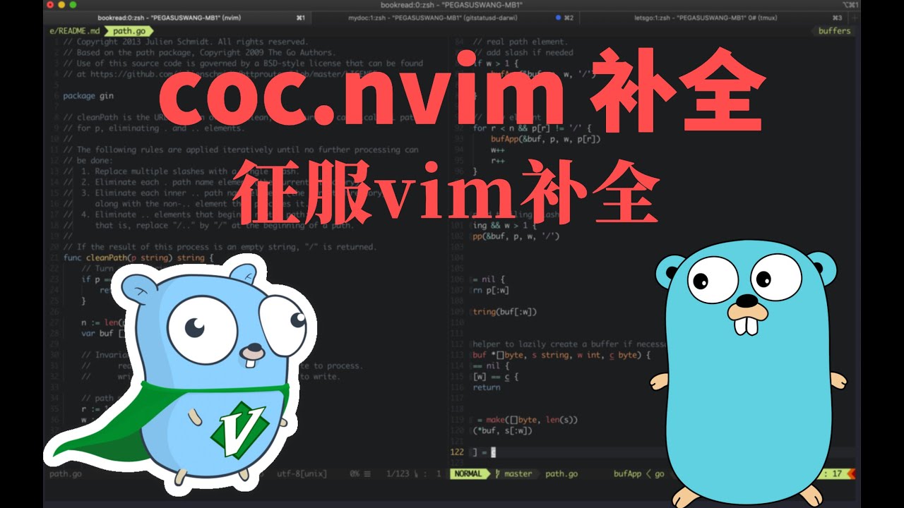 jetbrains到期？试试 coc.nvim 征服 vim/neovim 补全吧! - YouTube