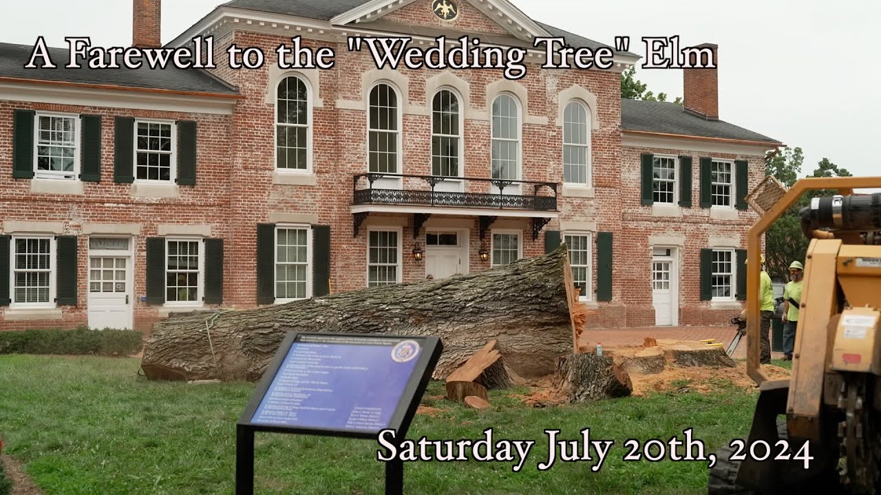 The Wedding Tree: A Fond Farewell - YouTube