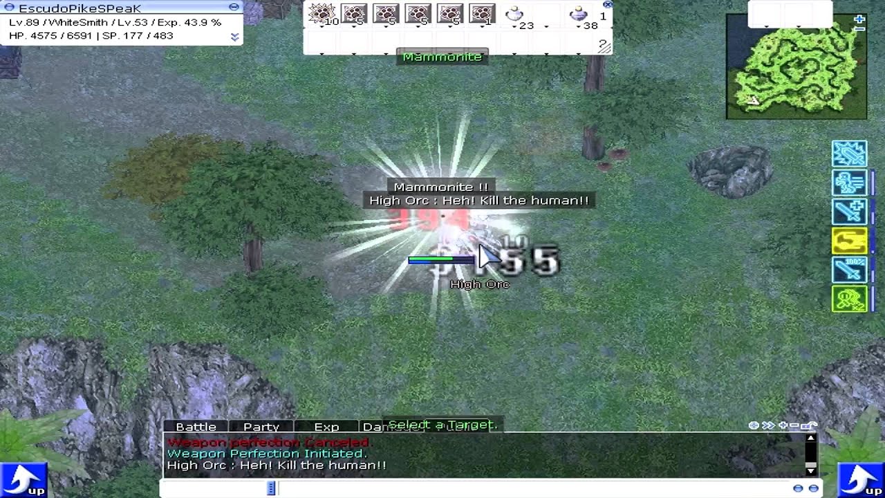 Ragnarok Online Whitesmith Ownage High Orcs @ gef_fild14 - YouTube