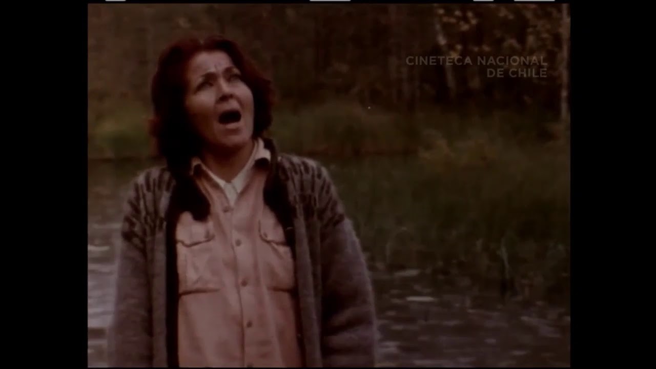 La Muchacha del Obrero, por Shenda Román en el documental Presencia ...