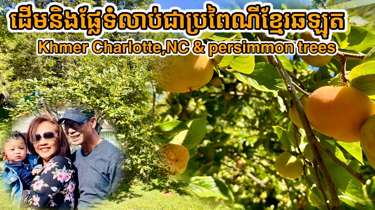 ផ្ដើមនិងផ្លែទំលាប់ជាប្រពៃណីរបស់ខ្មែរអាមេរិកនៅទីក្រុងឆឡុុត Khmer ...