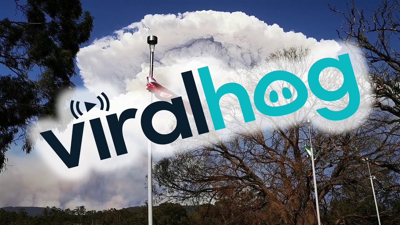 Huge Pyro Cumulus Storm Cloud Generated by Bushfire Smoke || ViralHog ...