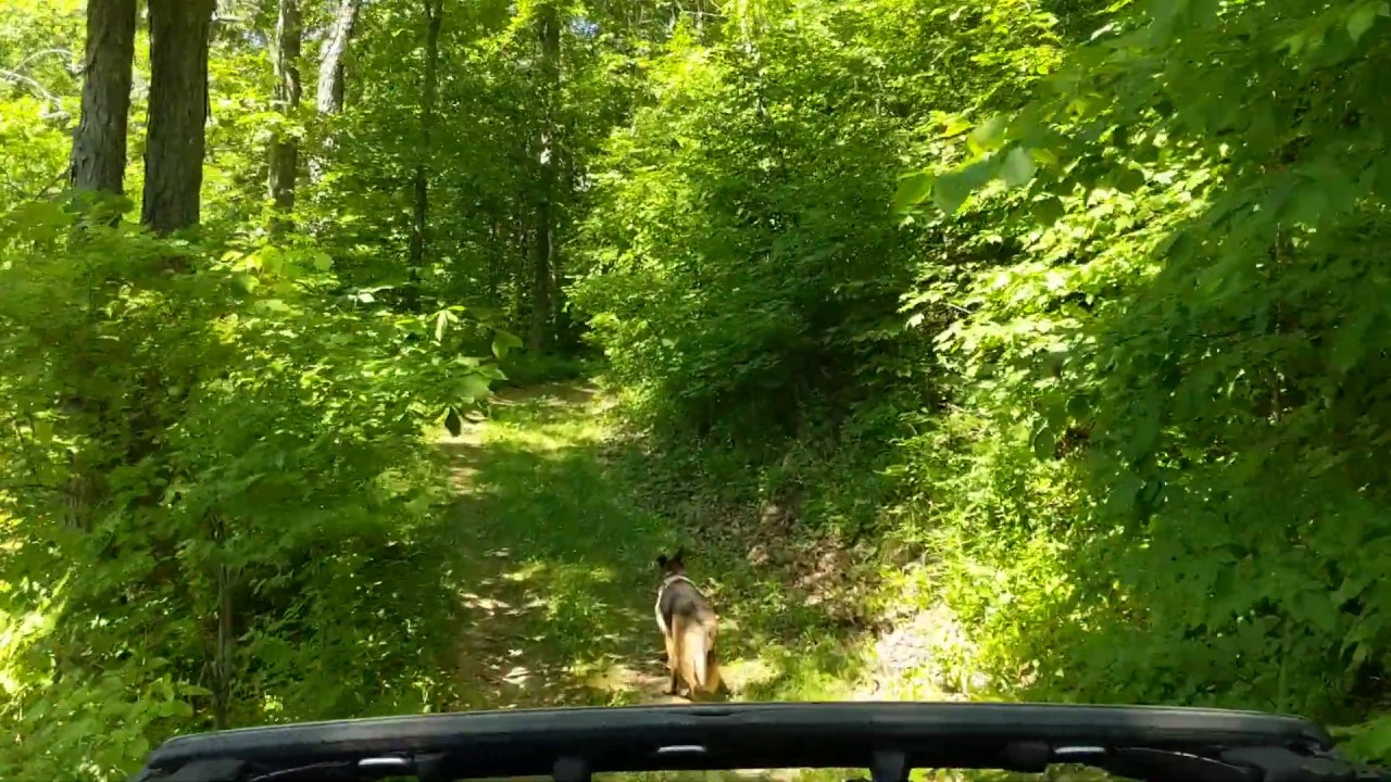 Behind Pond Trail - YouTube