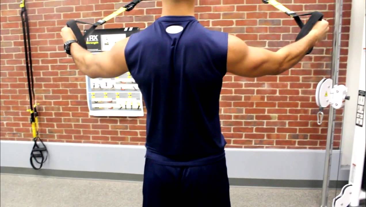 Trx reverse fly - YouTube