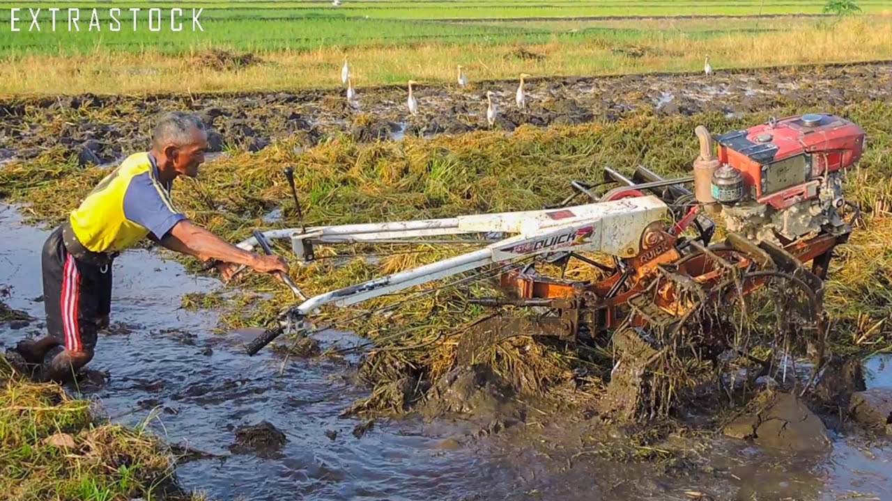Membajak Lahan Bekas Panen Padi Dengan Traktor Sawah Quick G3000 Zeva ...