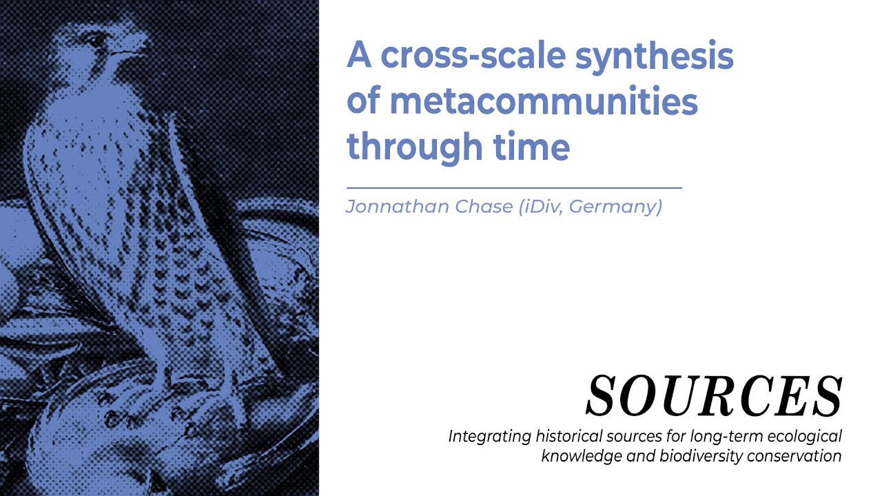 SOURCES - A cross-scale synthesis of metacommunities through time ...