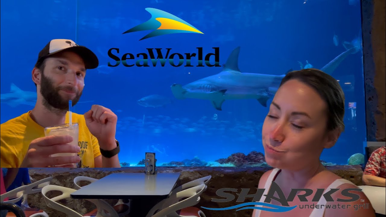 Dining with SHARKS! SeaWorld Orlando's Best Restaurant, Sharks Underwater Grill Review! - YouTube