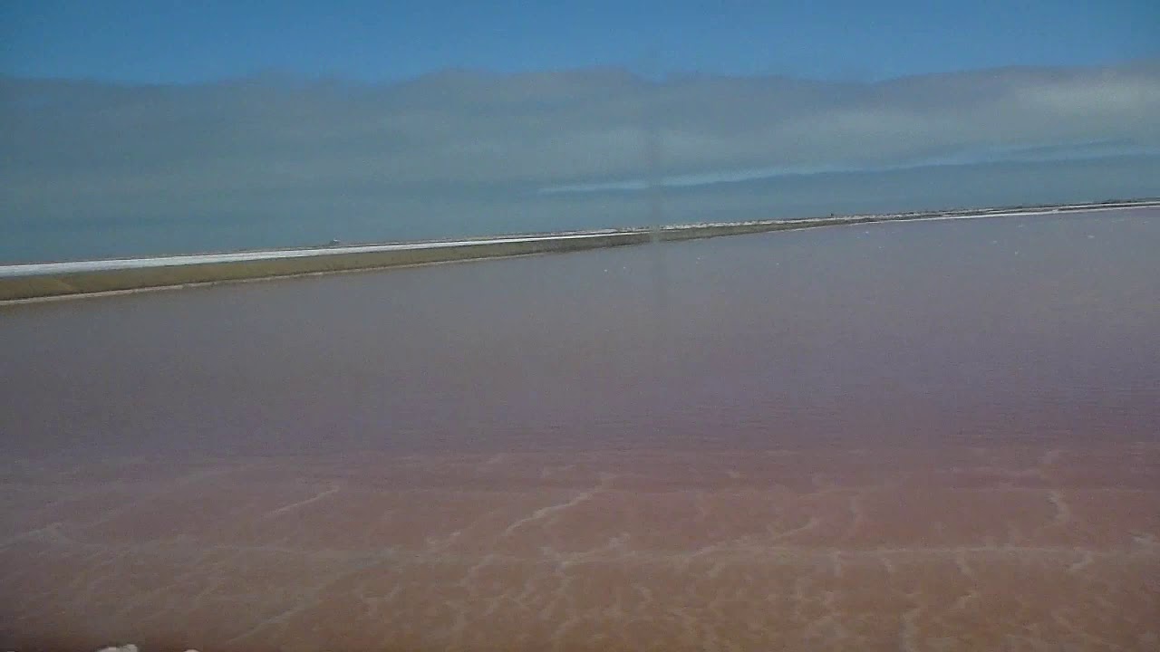 Pink Lake - Namib Desert Near Walvis Bay - Namibia - February 2020 ...
