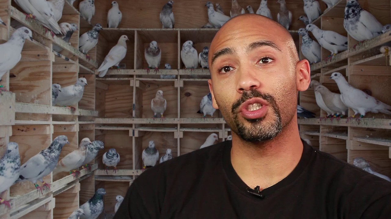 LITTW Alex Lanipekun Interview HD HD - YouTube