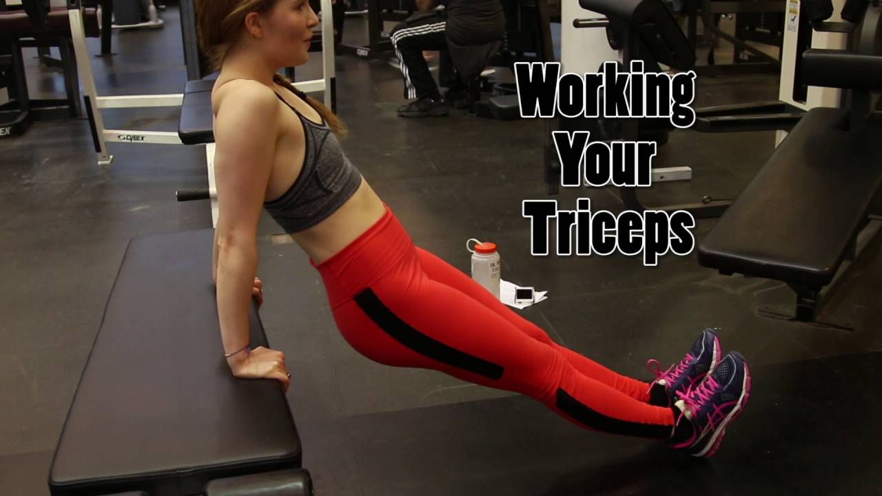 Vassar View Episode 4 - Fitness - YouTube