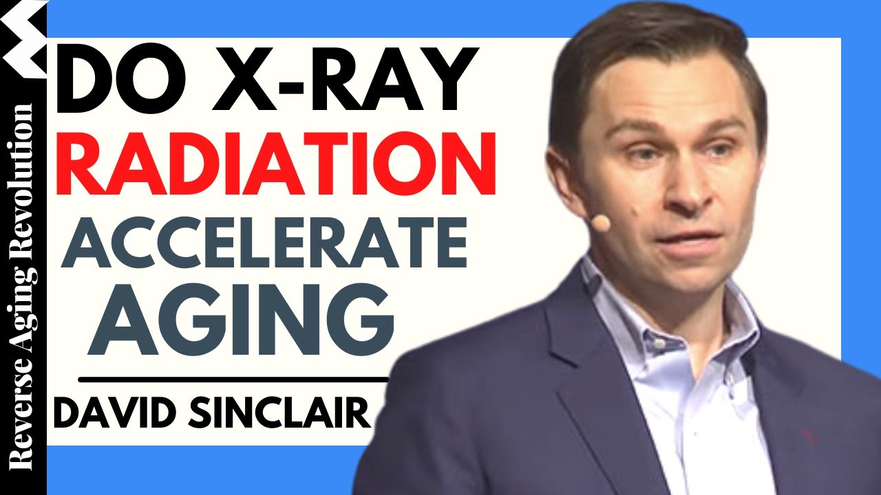 DAVID SINCLAIR "What Environmental Factors Accelerate Aging?" | Dr ...