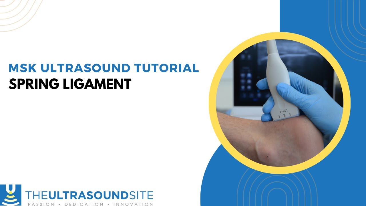 Spring ligament - YouTube