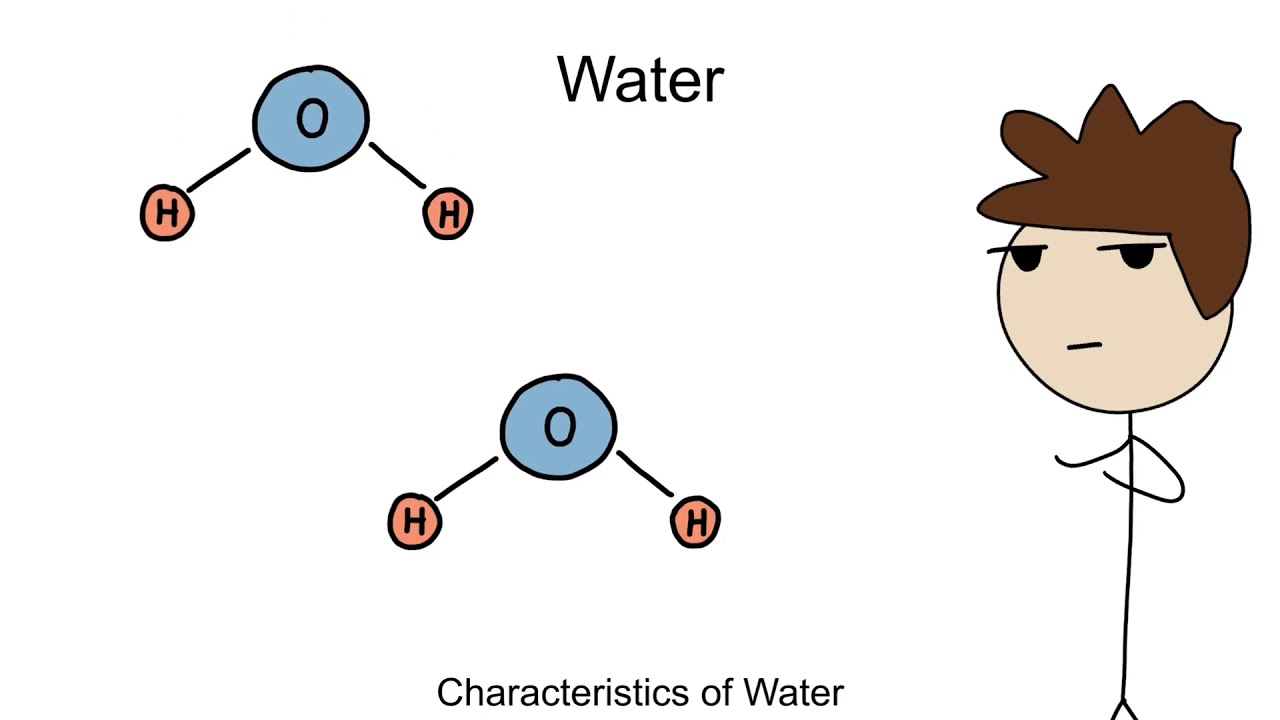 Characteristics of Water - BIOLOGY/CHEMISTRY part 9 - YouTube