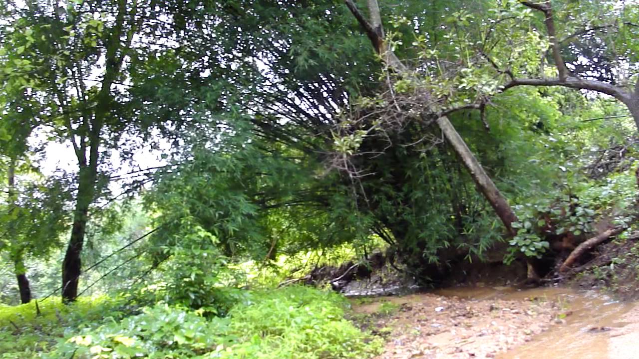 Narsapur Forest, Medak - YouTube