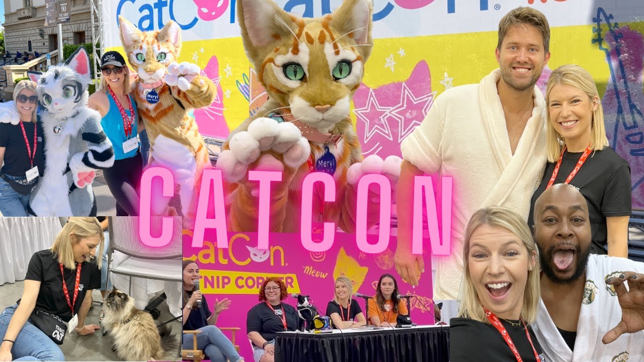 MY CATCON EXPERIENCE: Highlights from the Best Cat Convention you'll ...