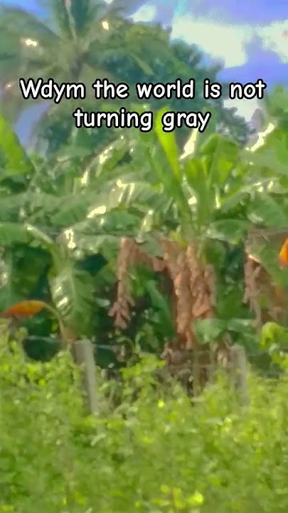 Gary Youtube