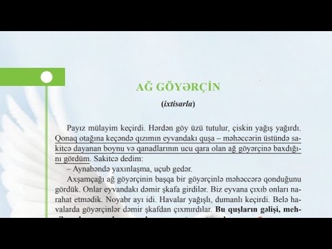 9-cu sinif Azərbaycan dili.ağ göyərçin mətni.səh(94,95,96,97,98)