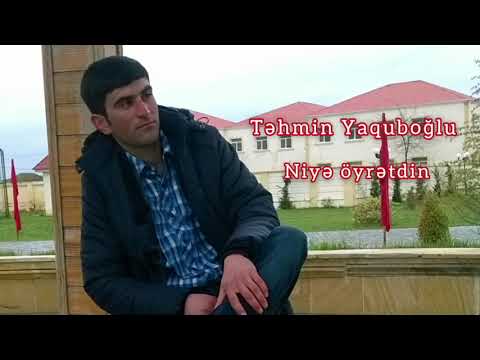 Niye öyretdin - Tehmin Yaquboğlu | Official Audio | Fon musiqi