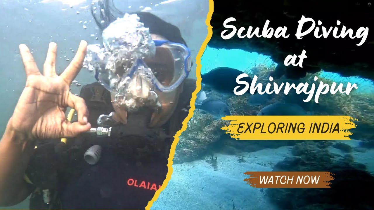 Scuba Diving at Shivrajpur Beach, Dwarka | Underwater Adventure ...