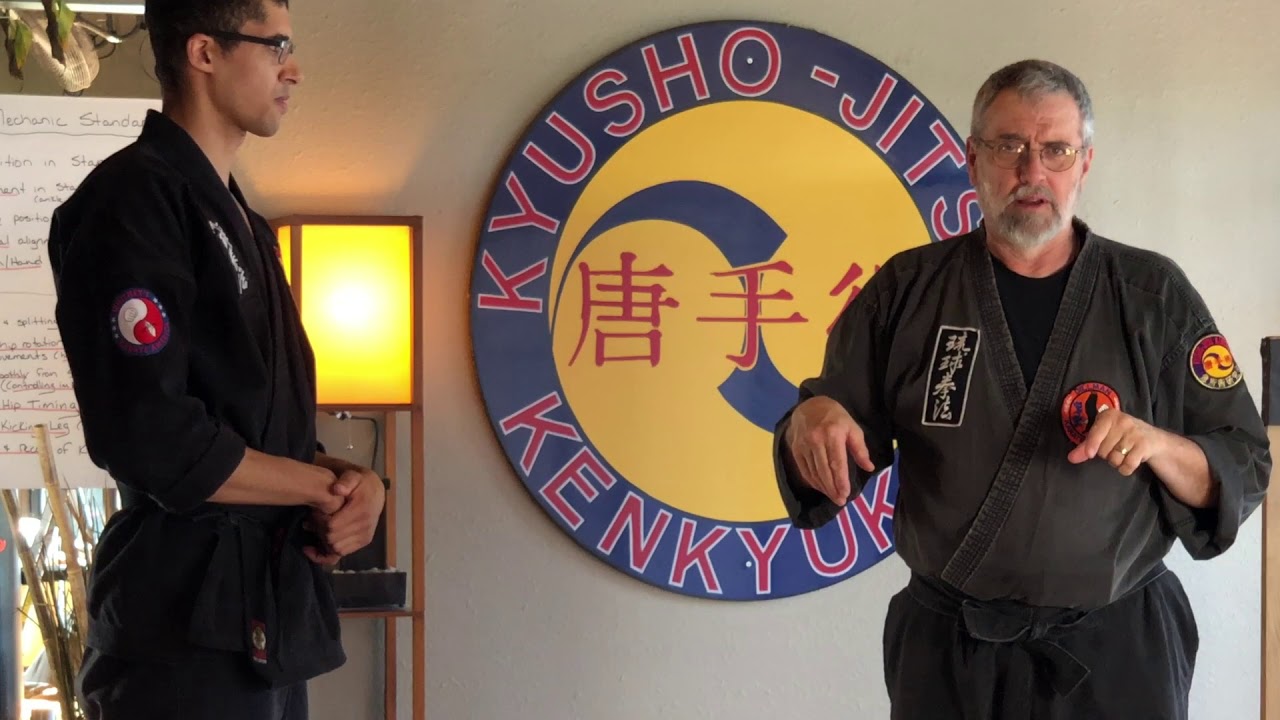 85 – Reflections: Emphasis within Isshin ryu Karate - YouTube