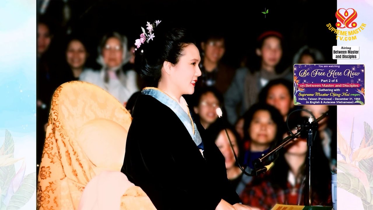 2279 BMD Be Free Here Now, Part 2 of 5, Dec. 31, 1994, Hsihu, Taiwan ...