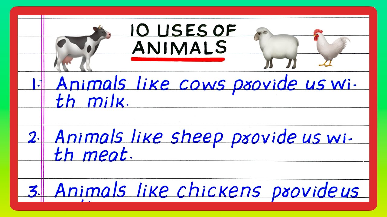 Uses of Animals | Importance of Animals | 10 Uses of Animals - YouTube