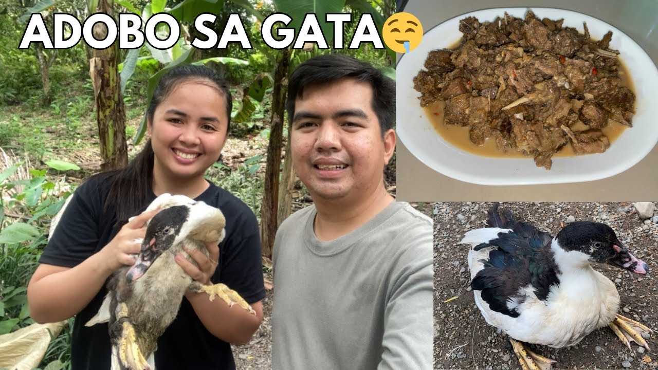 NAGLUTO NG ADOBO SA GATA NA PATO | DUCK RECIPE |vlog#545 - YouTube