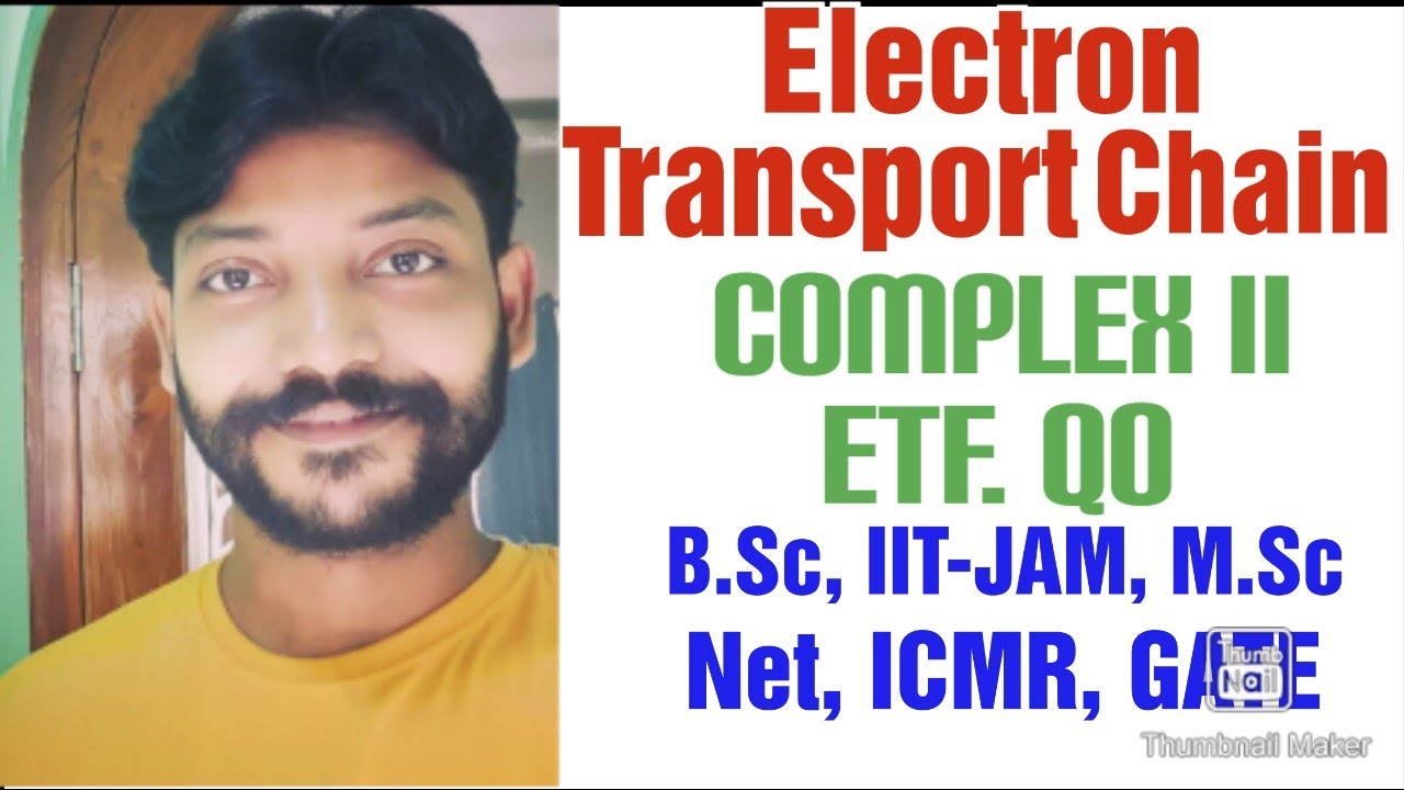 Cellular Energetics: Structure & Function of "Complex II & ETF. QO" in ...
