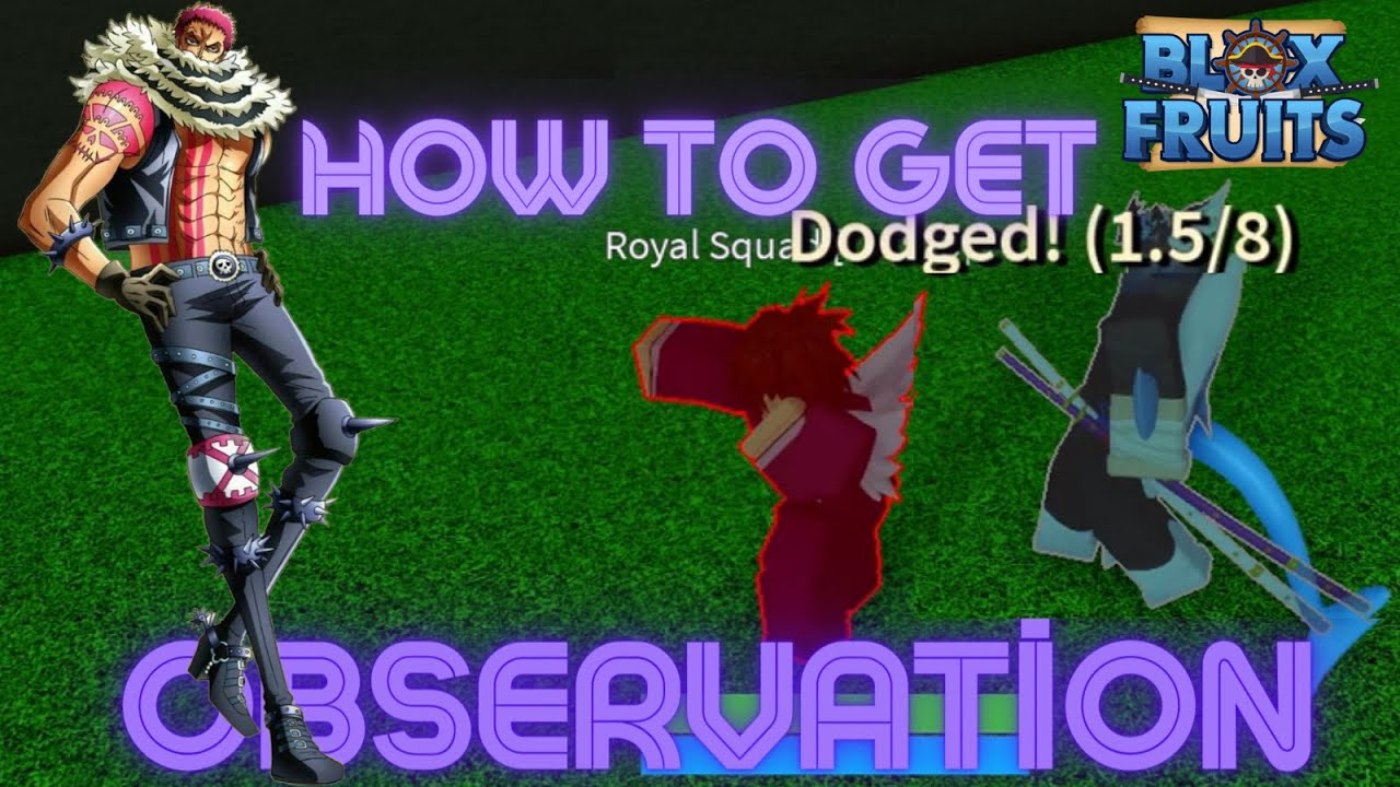How to get observation / instinct // Roblox BloxFruits - YouTube