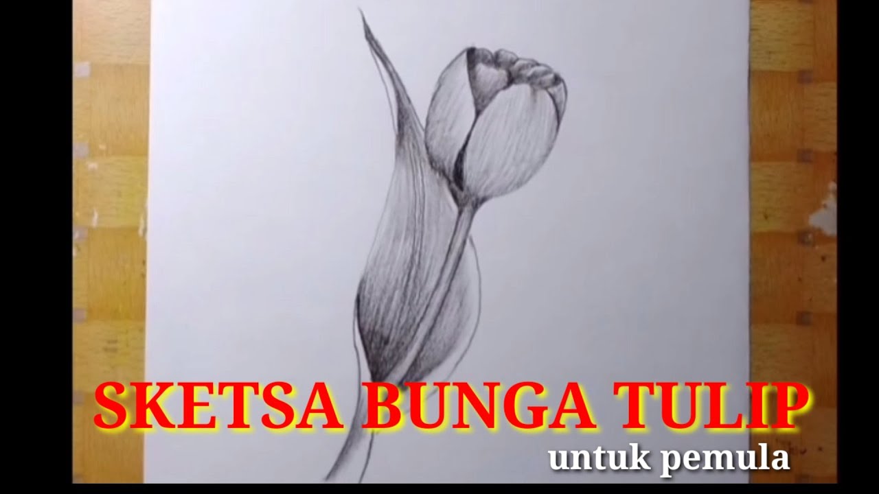 SKETSA BUNGA TULIP || EASY - YouTube