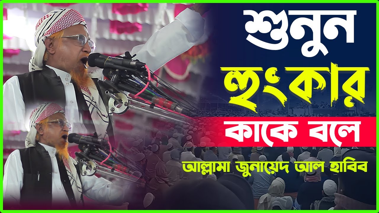 শুনুন হুংকার কাকে বলে ! আল্লামা জুনায়েদ আল হাবিব ! Allama Junayed Al ...