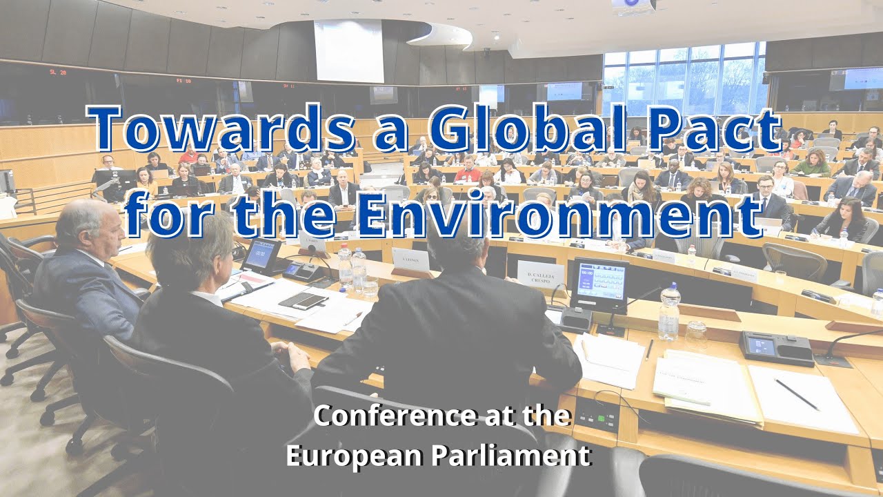 Luc Lavrysen's intervention - Brussels Conference on the Global Pact ...