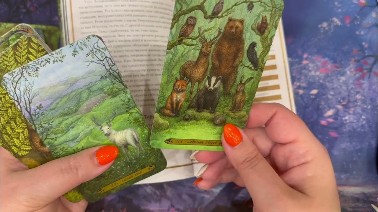 Таро ЗАЧАРОВАННОГО ЛЕСА обзор и распаковка В конце расклад - YouTube