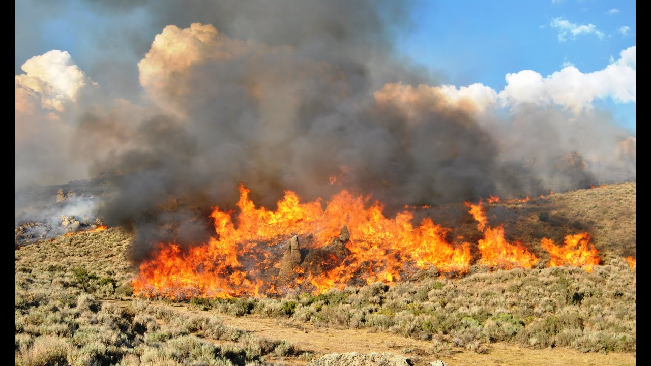 Surviving Rangeland Fire - YouTube