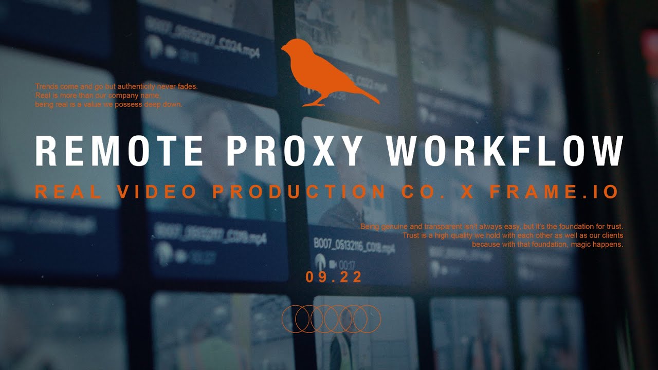 Real Video Production Co. | Frame.io Remote Proxy Workflow - YouTube