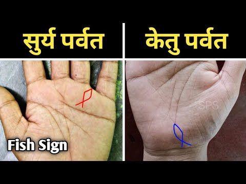 जाने कौनसा मछली का निशान ज्यादा धन देगा | Fish sign on palm | Palmistry ...