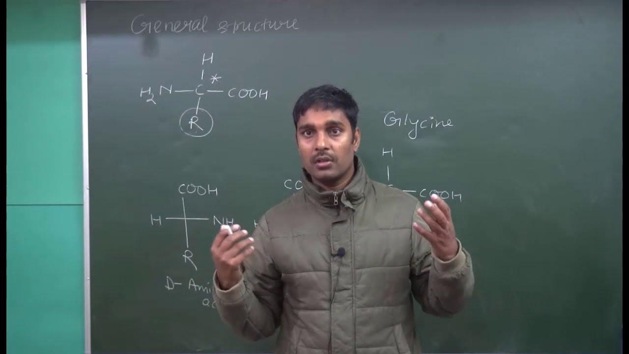 Biomolecules - Lect. 7 - Structure of amino acids - YouTube