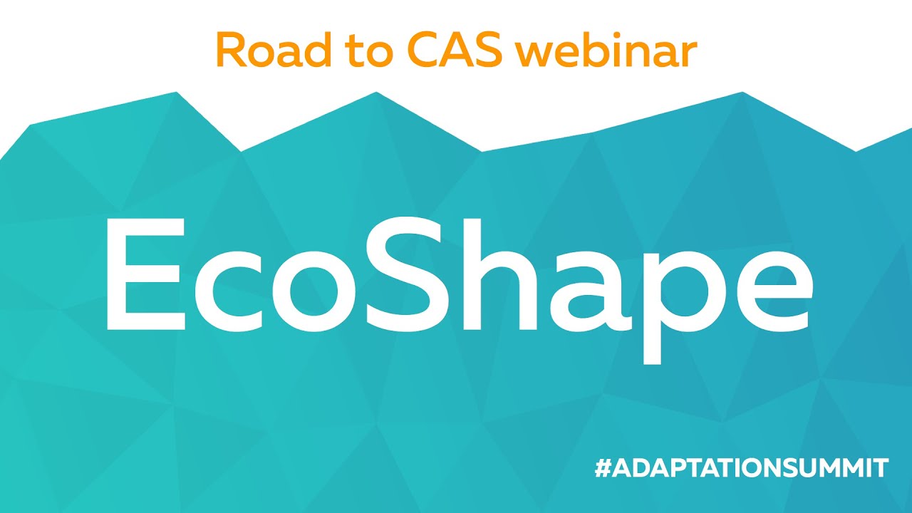 EcoShape: The road to successful Building with Nature projects – Road ...