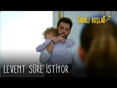 Ömer için çözüm aranıyor💔 | Yaralı Kuşlar 77. Bölüm
