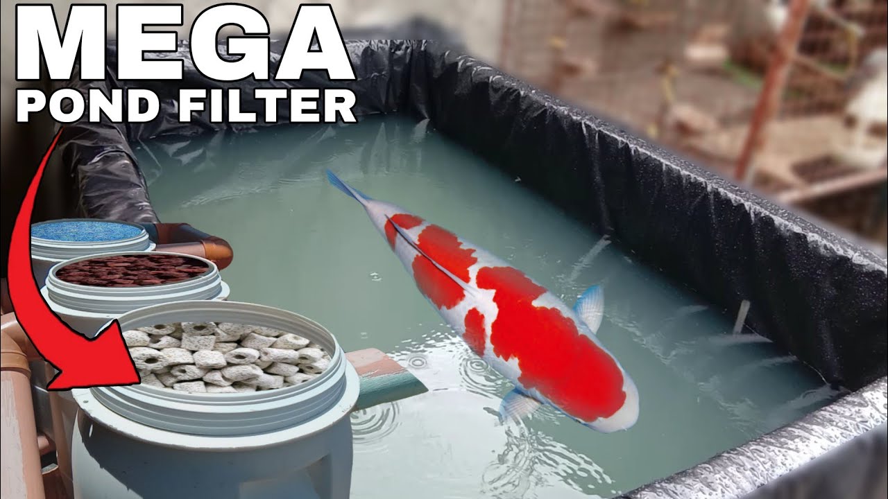 DIY MEGA POND FILTER for my NEW POND - YouTube