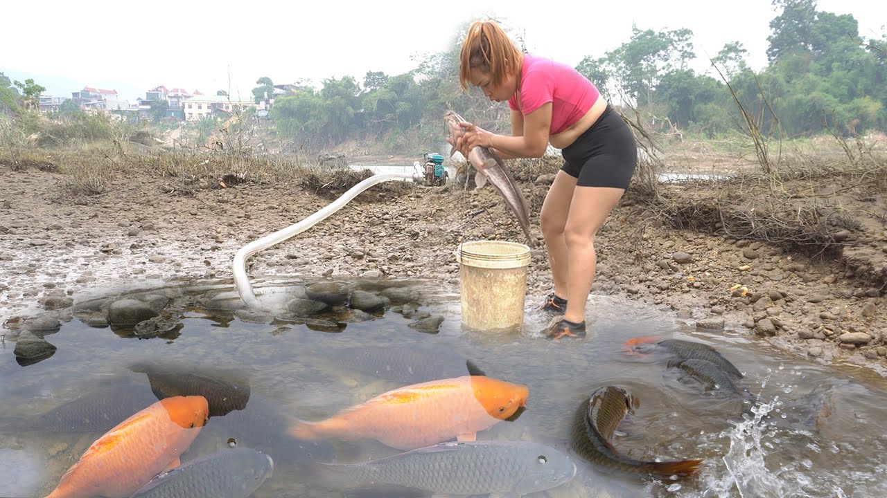 Unique Fishing, How to Catch Wild Fish, The Girl Use Motors to Suck ...
